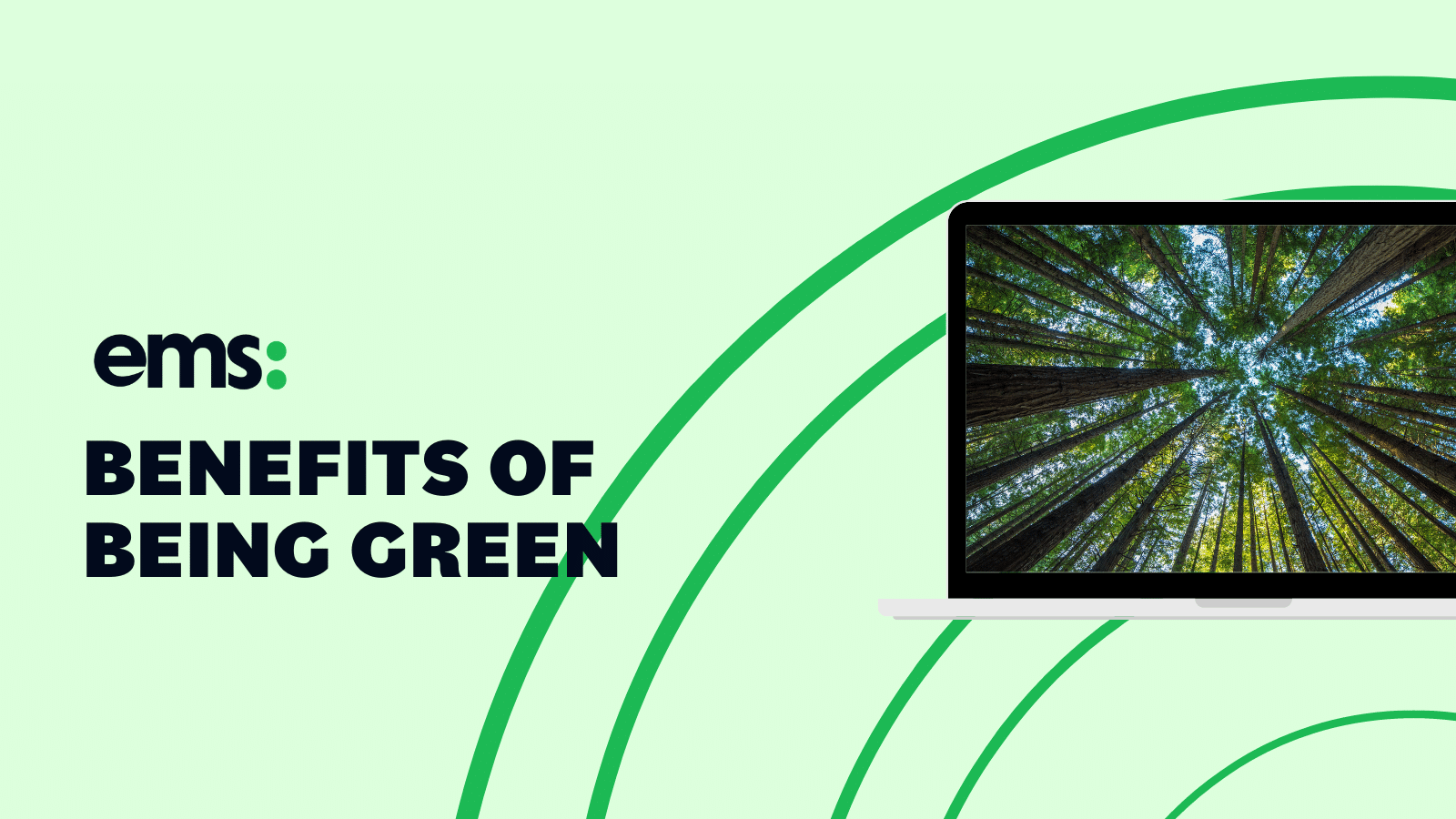 Benefits of Being Green - Enterprise Made Simple